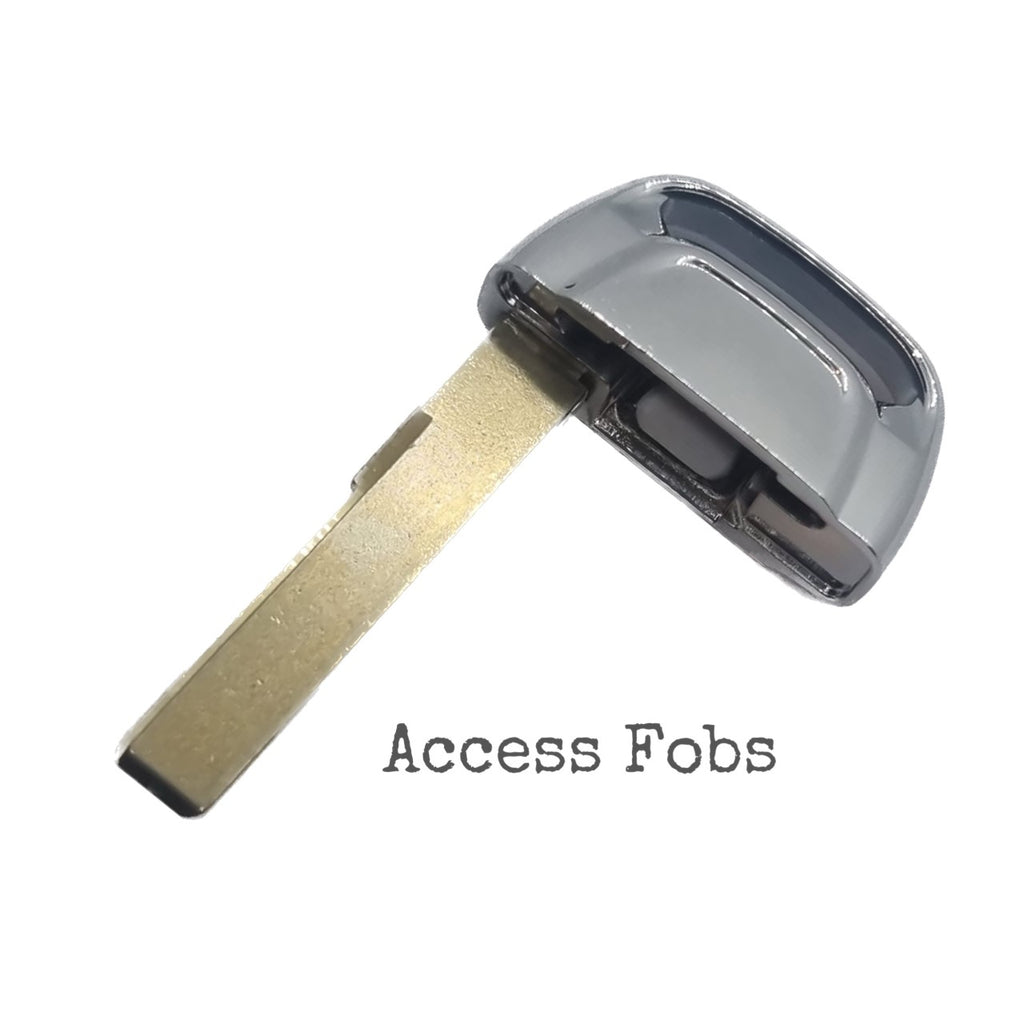 Products — Access Fobs
